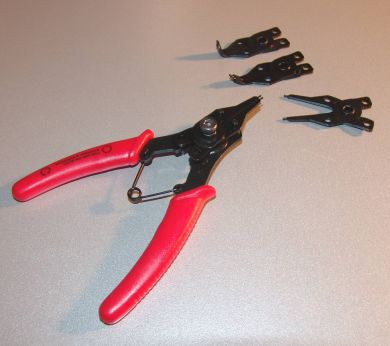 Seegeringtang variabel Bestellen? Voor 16:00 besteld? Vandaag verwerkt